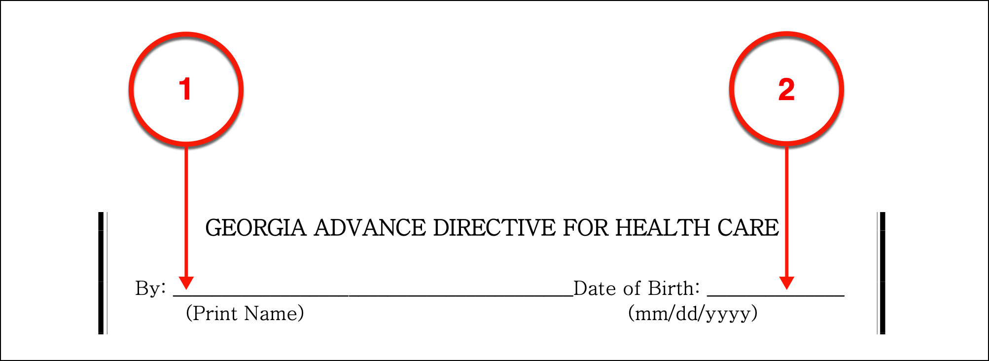 Free Georgia Advance Directive for Health Care - PDF – eForms