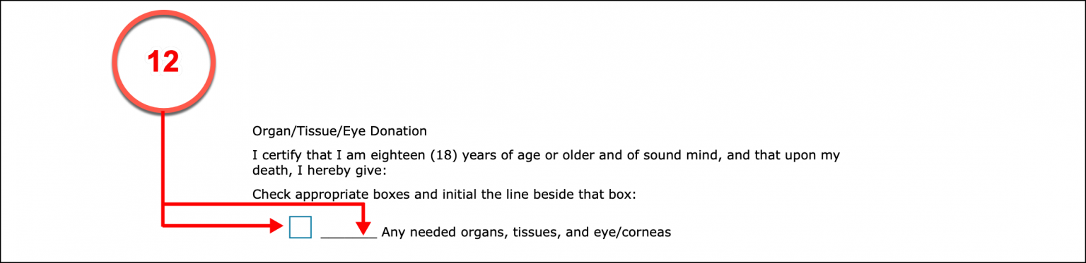Free Kentucky Advance Directive Form - PDF – eForms