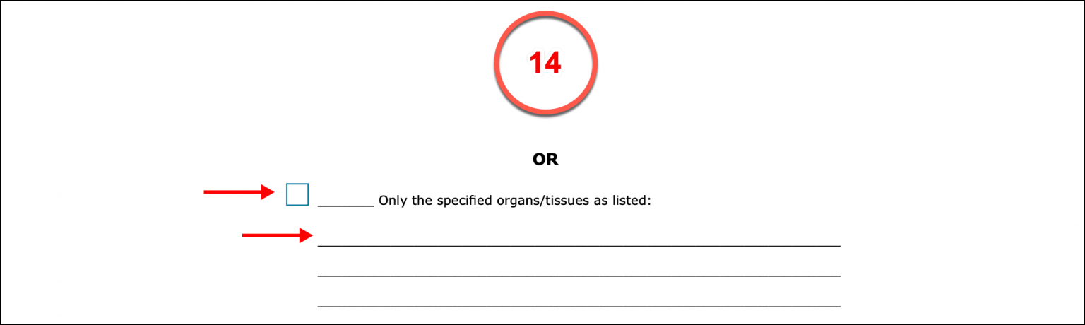 Free Kentucky Advance Directive Form - PDF – eForms