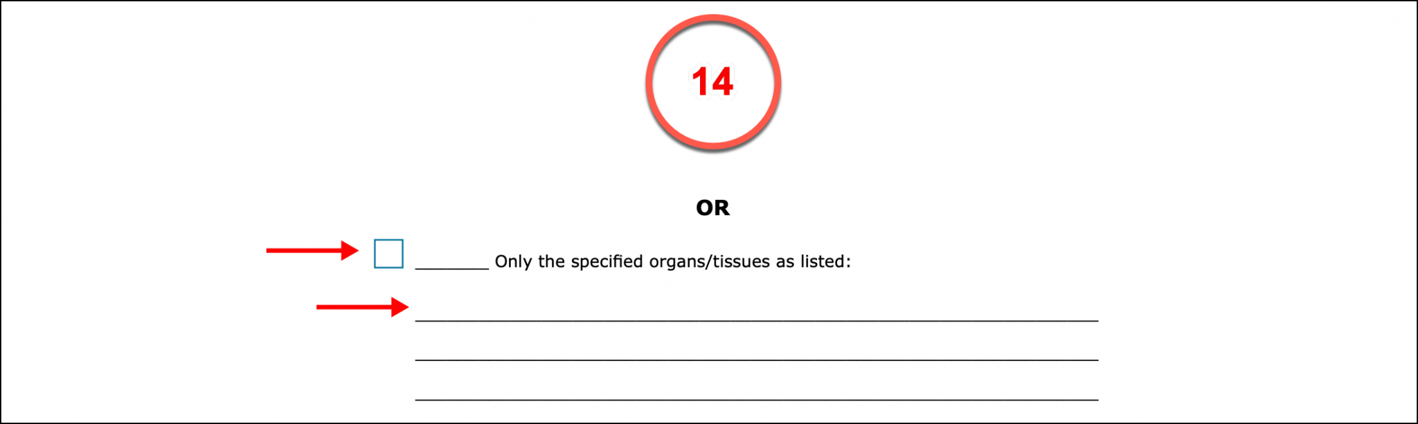 Free Kentucky Advance Directive Form - PDF – eForms