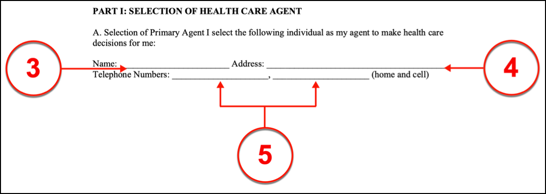 Free Maryland Advance Directive Form - PDF | Word – eForms