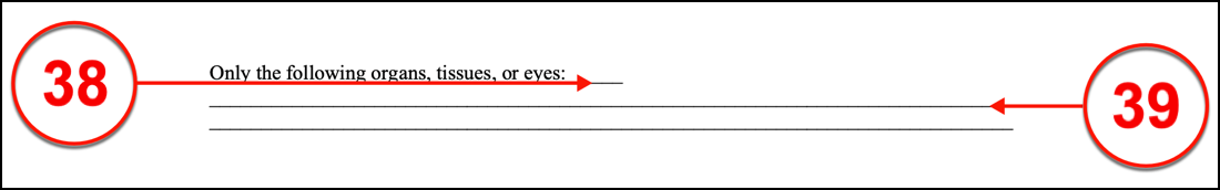 Free Maryland Advance Directive Form - PDF | Word – eForms