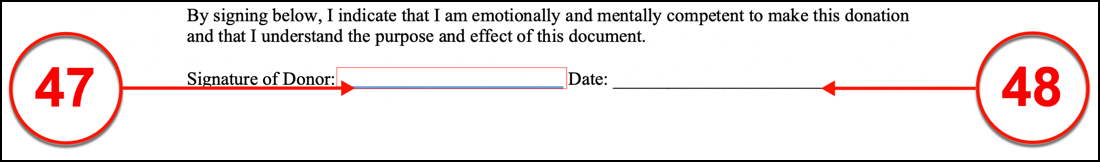 Free Maryland Advance Directive Form - PDF | Word – eForms