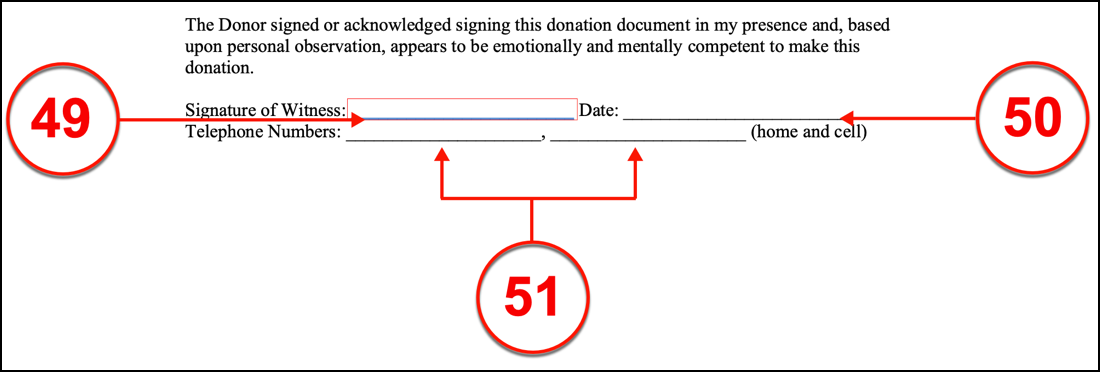 Free Maryland Advance Directive Form - PDF | Word – eForms