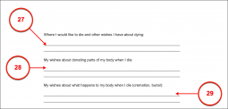 Free Minnesota Advance Directive Form - PDF | Word – eForms
