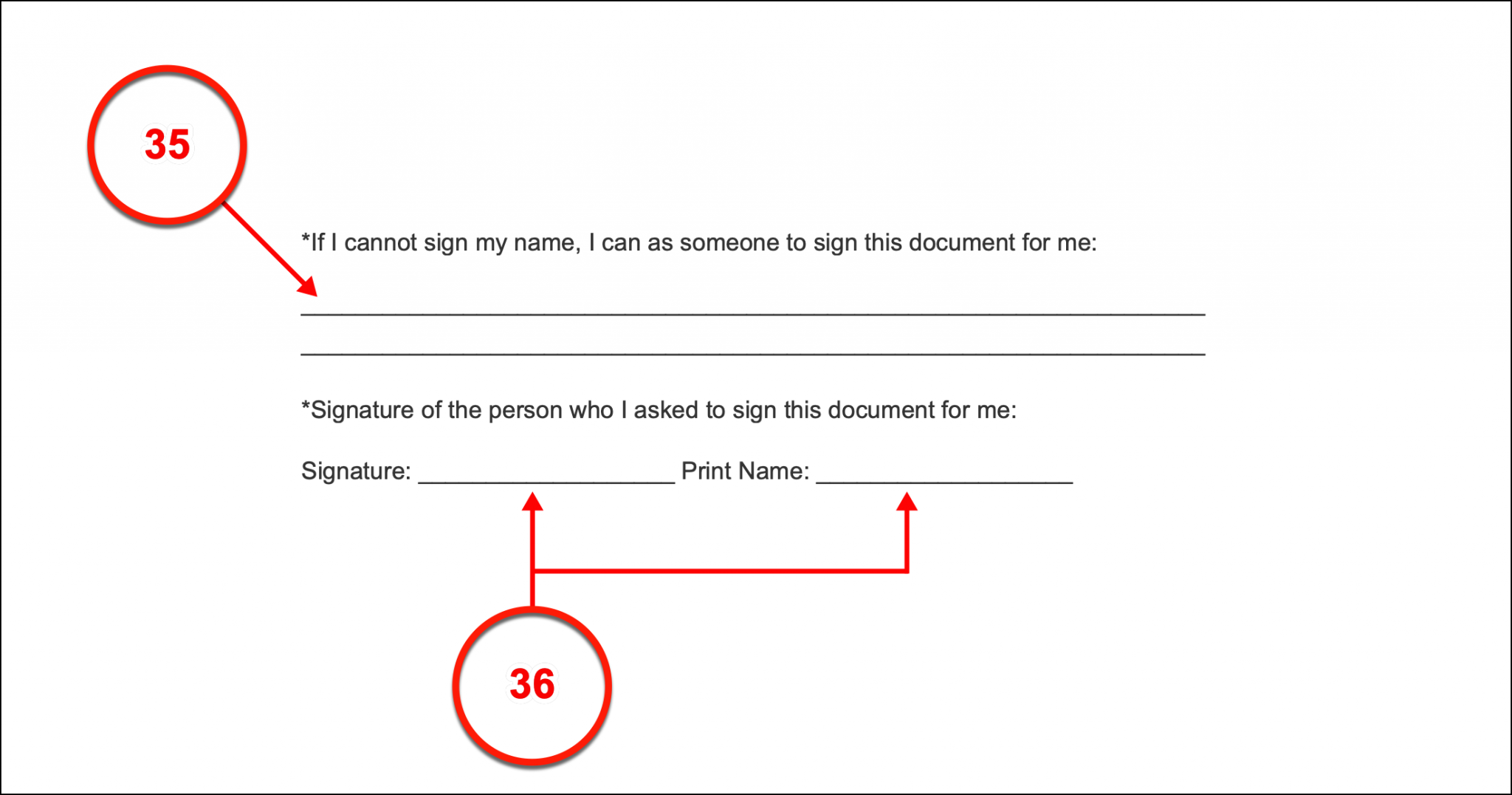 Free Minnesota Advance Directive Form - PDF | Word – eForms