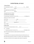 Free Cat (Kitten) Deposit Receipt Template - PDF | Word – eForms