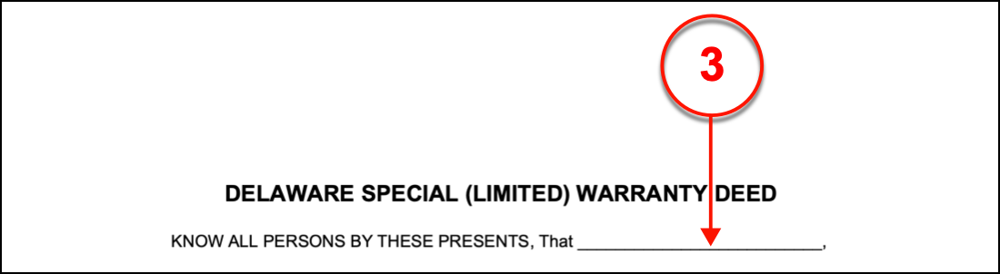 Free Delaware Special Warranty Deed Form - PDF | Word – eForms