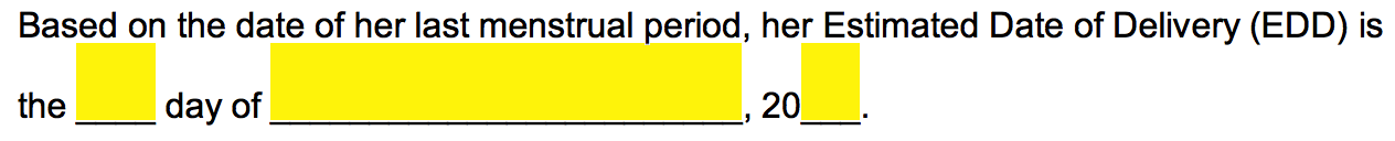 Free Pregnancy Verification Form - PDF | Word – eForms