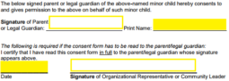 Free Video Consent Form - PDF | Word – eForms