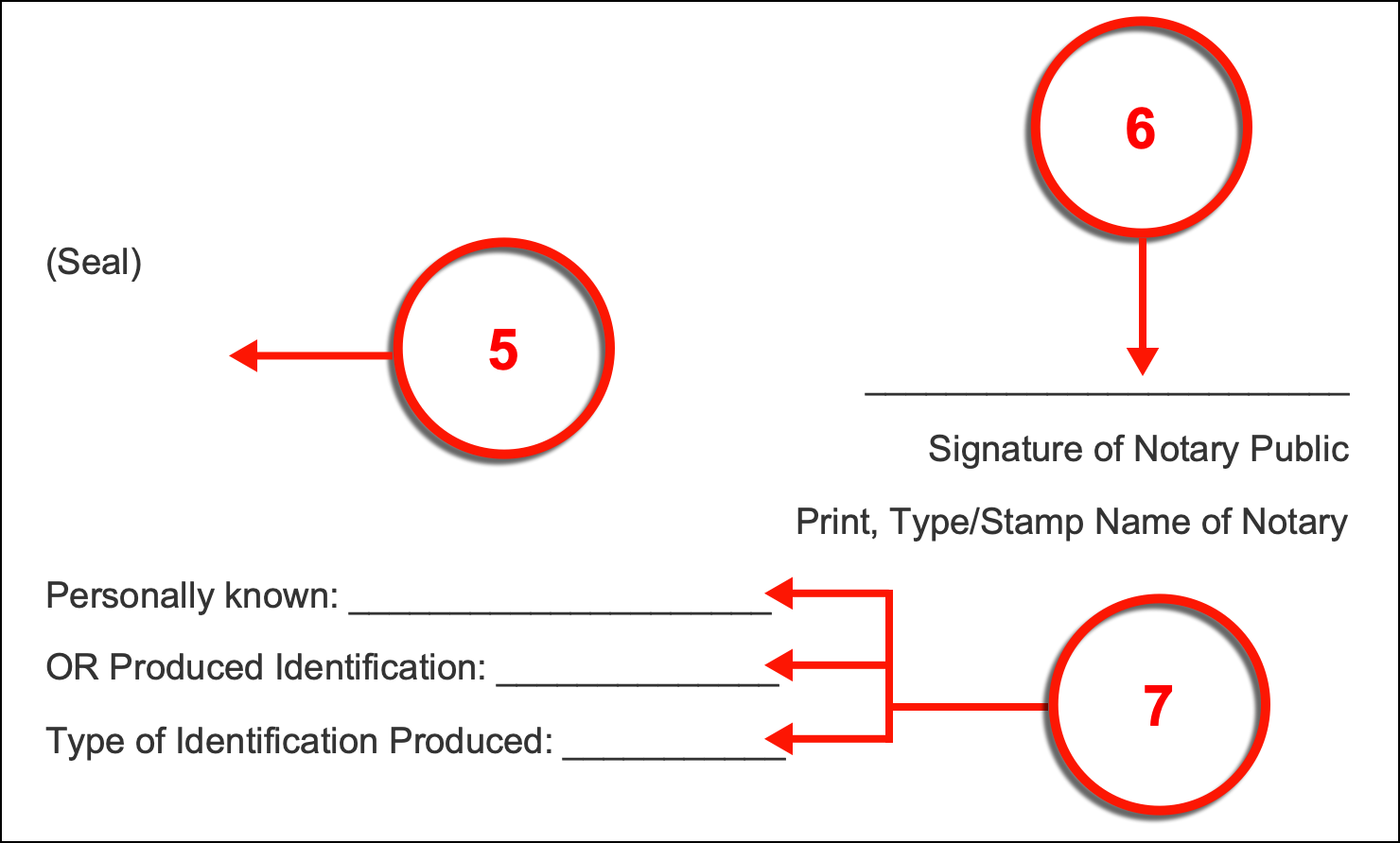 Free Florida Notary Acknowledgment Form - PDF | Word – eForms