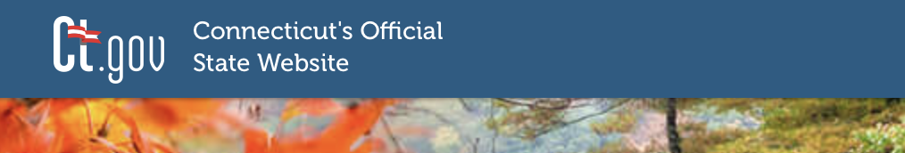 Free Connecticut Notary Acknowledgment Form - PDF | Word – eForms