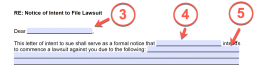 Free Letter of Intent to Sue (with Settlement Demand) | Sample - PDF ...