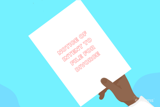 Free Illinois Marital Settlement (Divorce) Agreement - PDF | Word – eForms