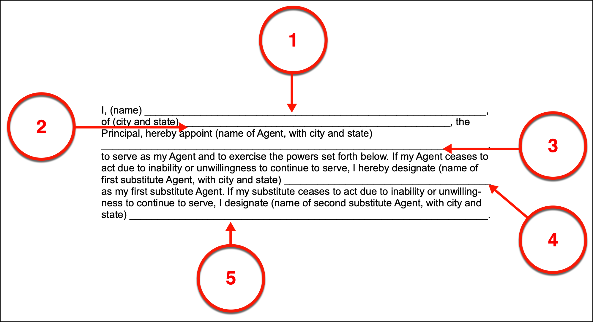 Free Colorado Advance Directive Form - PDF – eForms