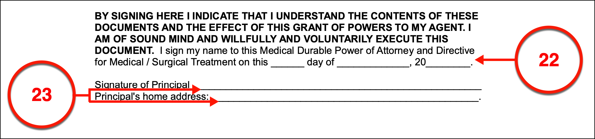Free Colorado Advance Directive Form - PDF – eForms