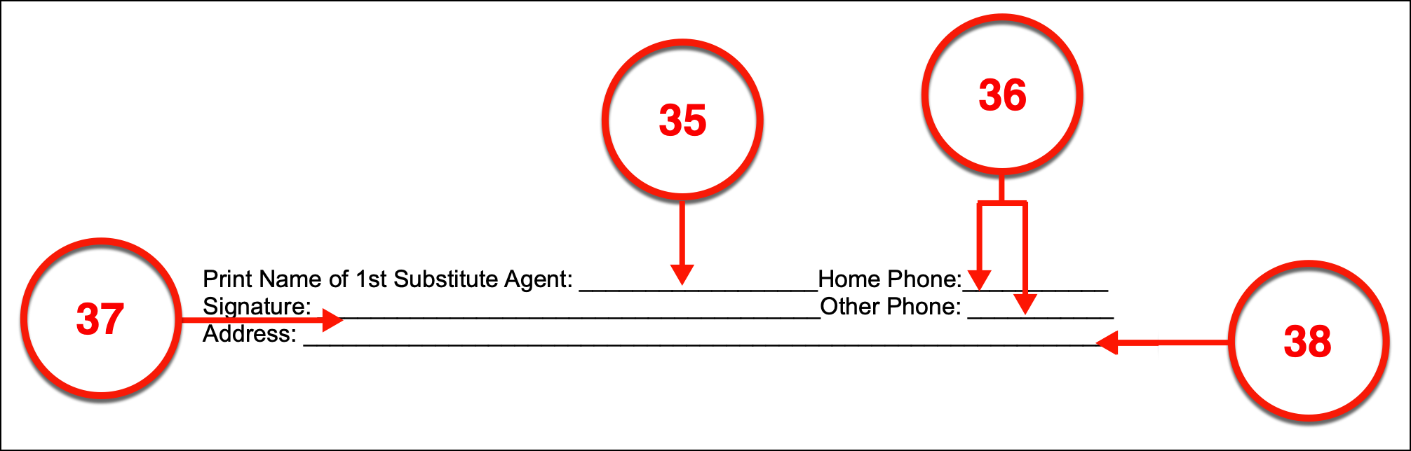 Free Colorado Advance Directive Form - PDF – eForms