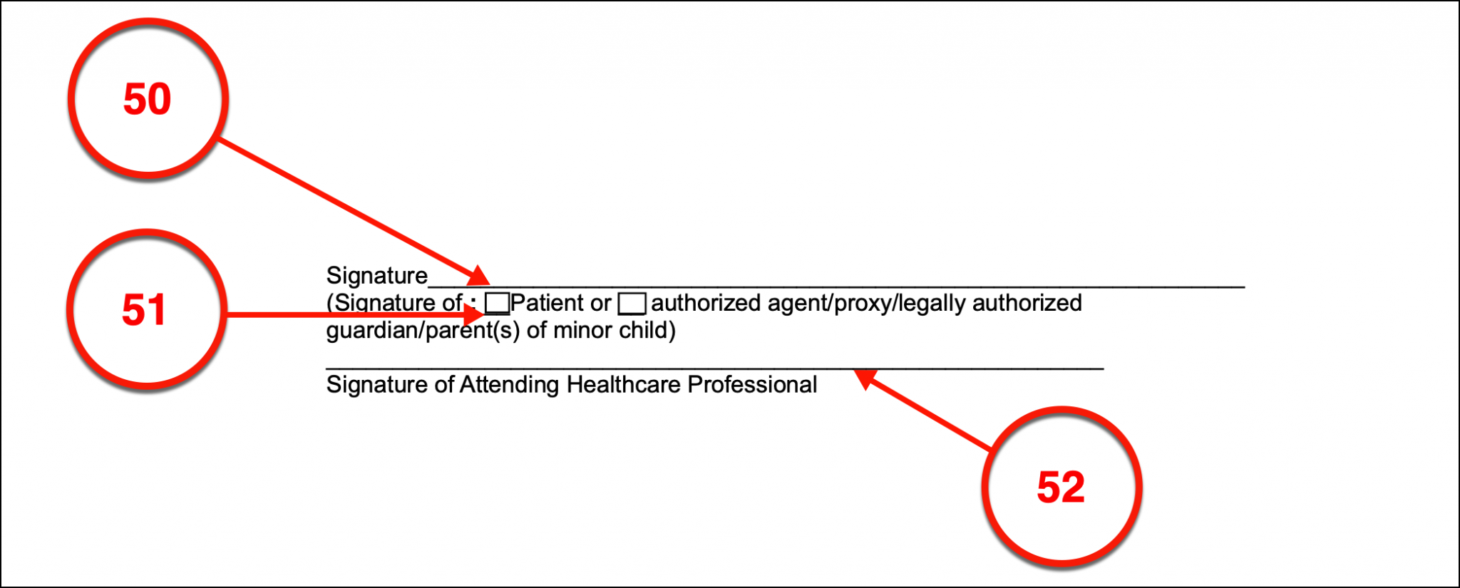 Free Colorado Advance Directive Form - PDF – eForms