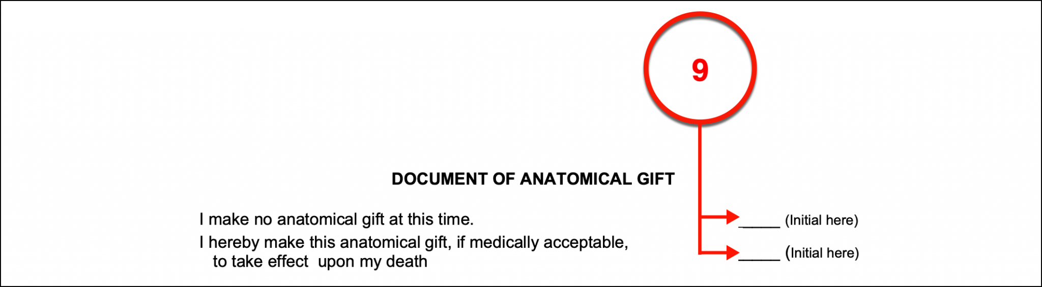 Free Connecticut Advance Directive Form - PDF – eForms