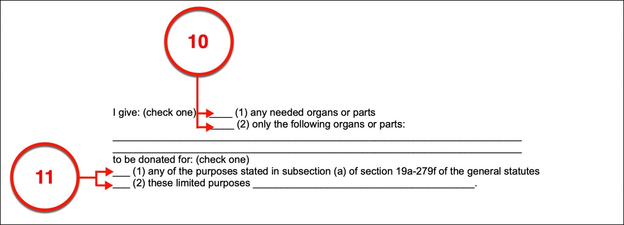 Free Connecticut Advance Directive Form - PDF – eForms