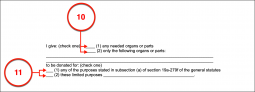 Free Connecticut Advance Directive Form - PDF – eForms
