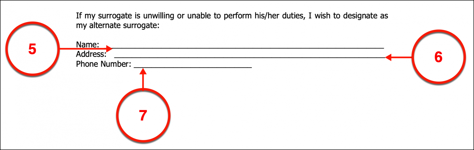 Free Florida Advance Directive Form - PDF – eForms