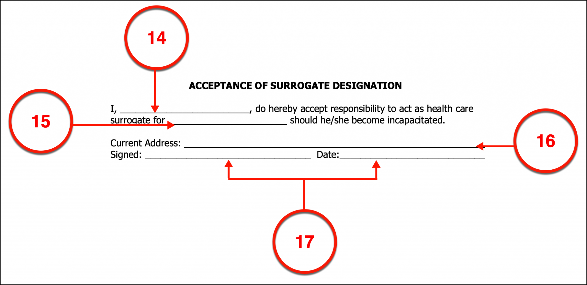 Free Florida Advance Directive Form - PDF – eForms