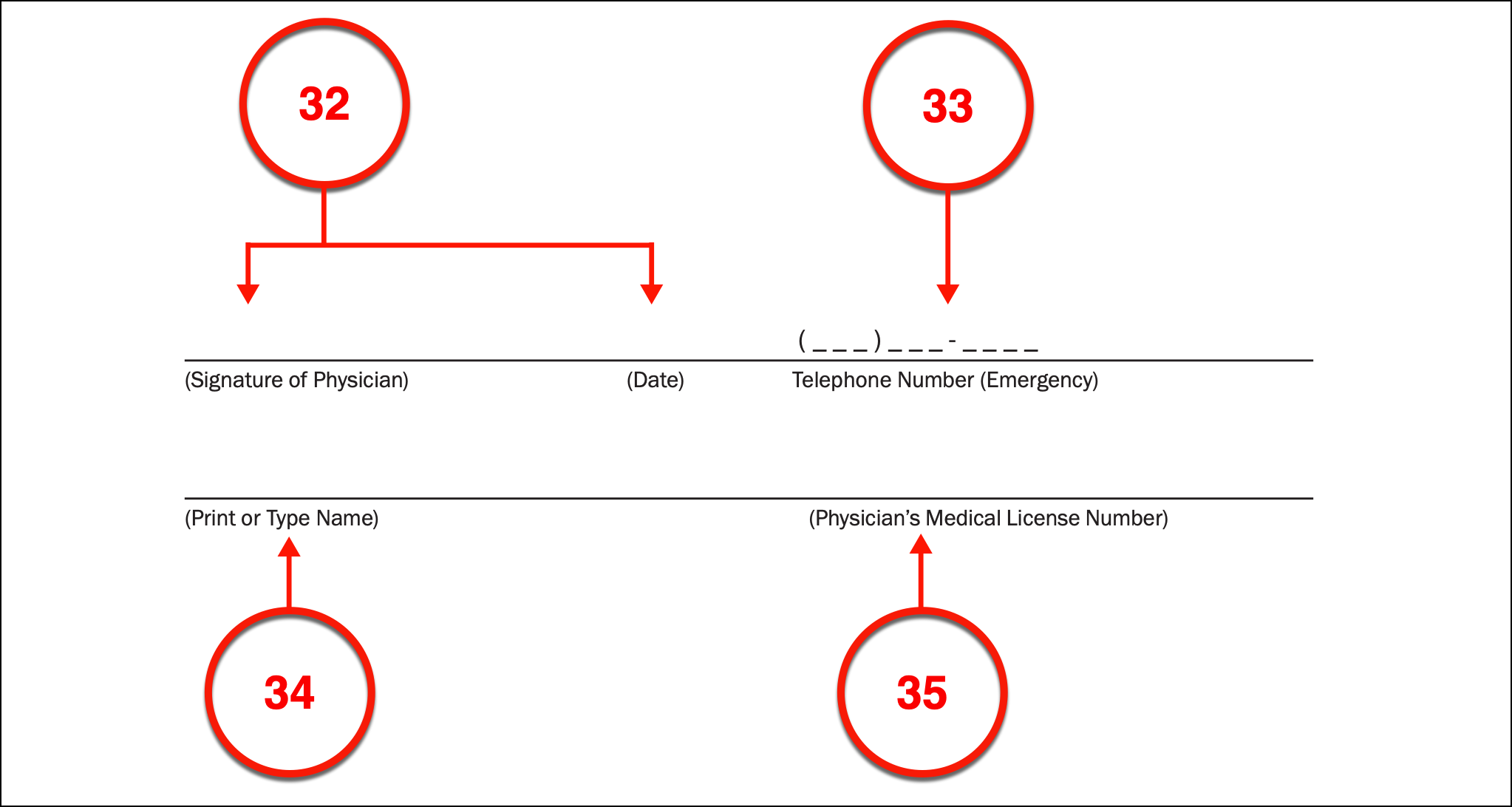 Free Florida Advance Directive Form - PDF – eForms