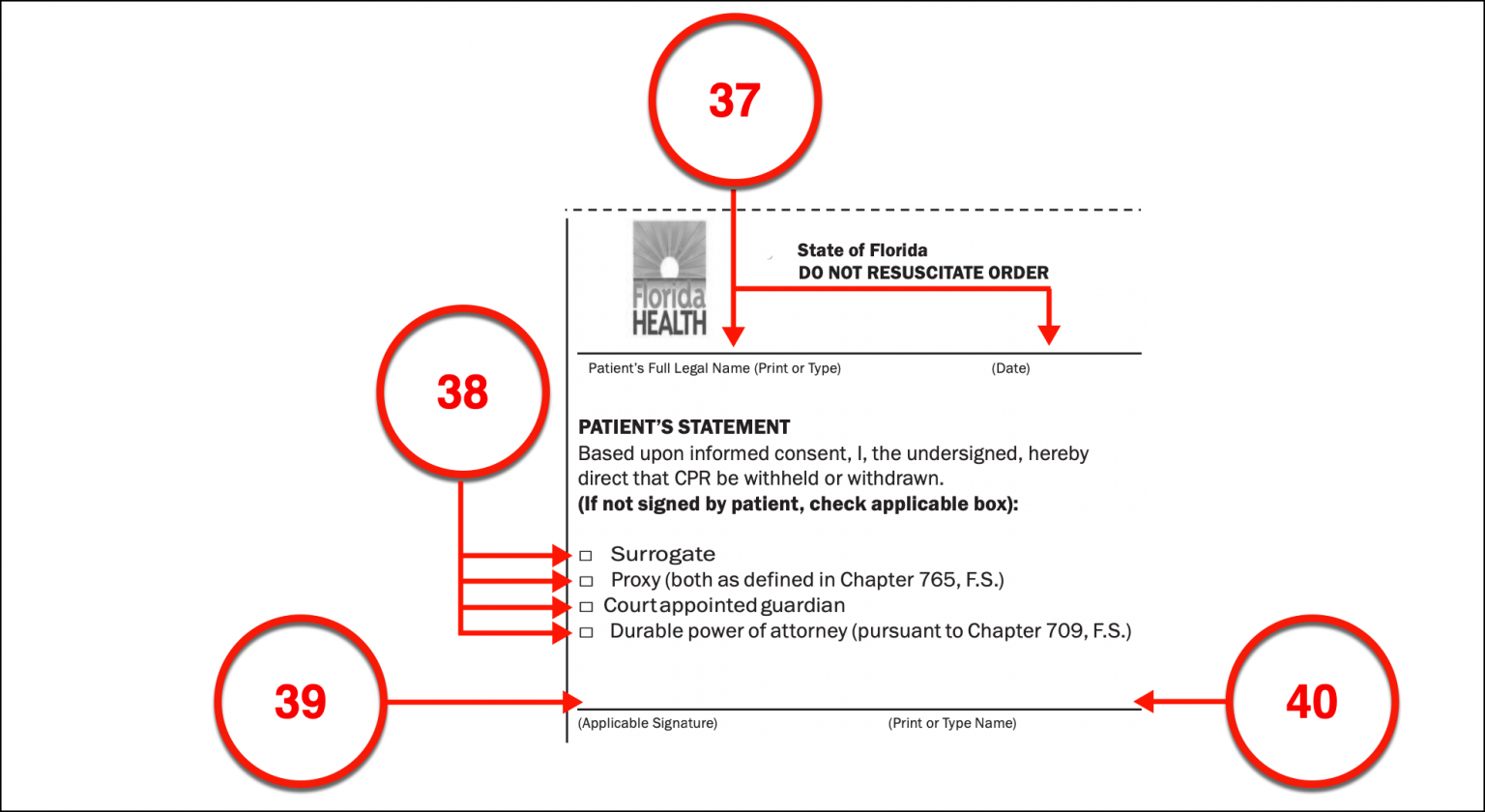 Free Florida Advance Directive Form - PDF – eForms