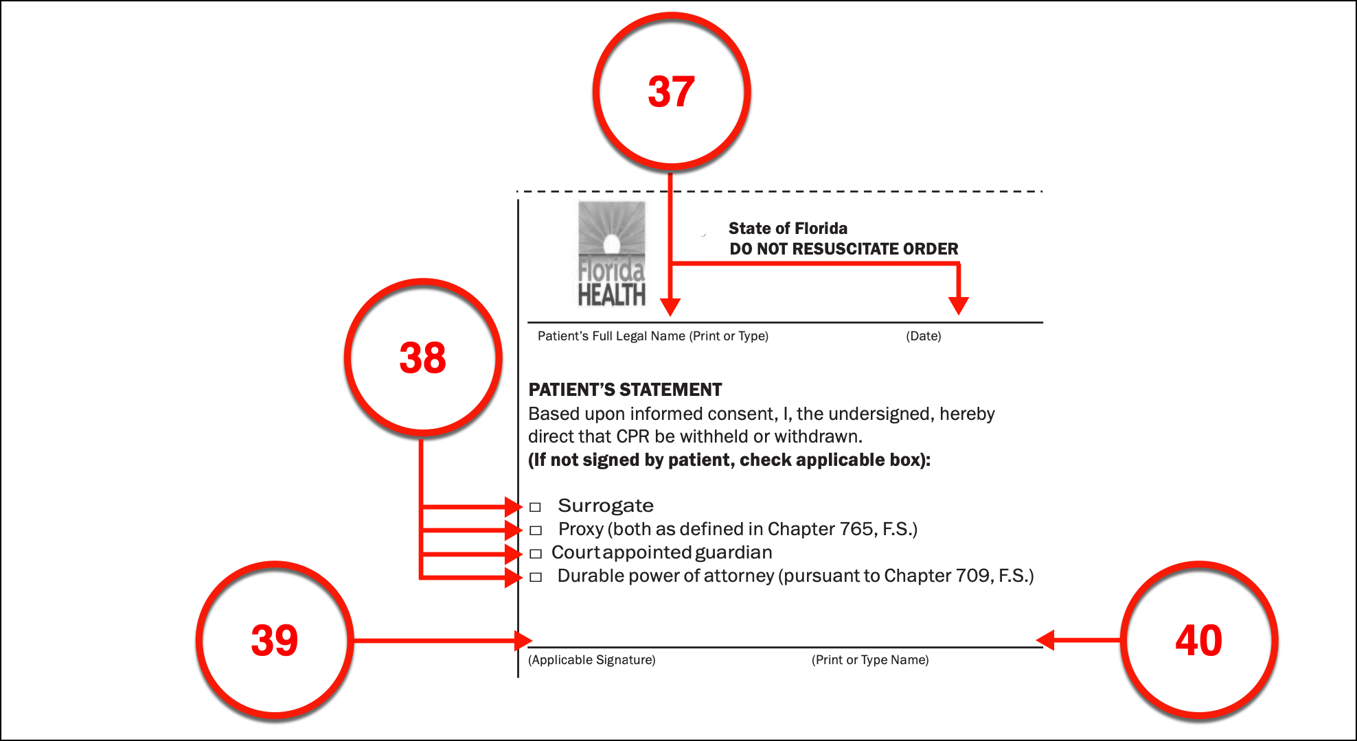 Free Florida Advance Directive Form - PDF – eForms