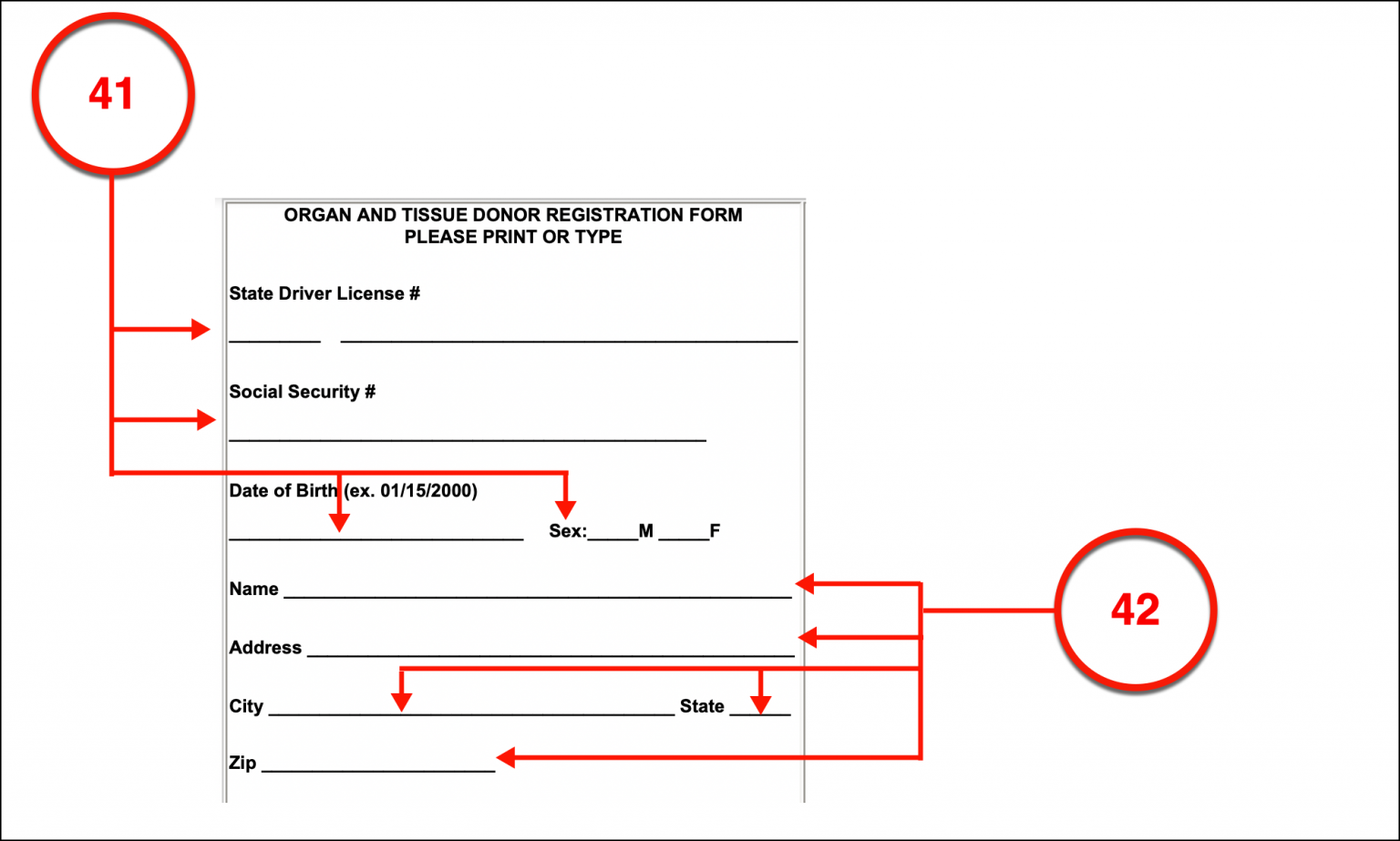 Free Florida Advance Directive Form - PDF – eForms