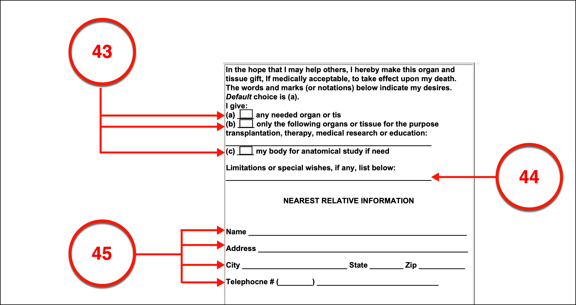 Free Florida Advance Directive Form - PDF – eForms