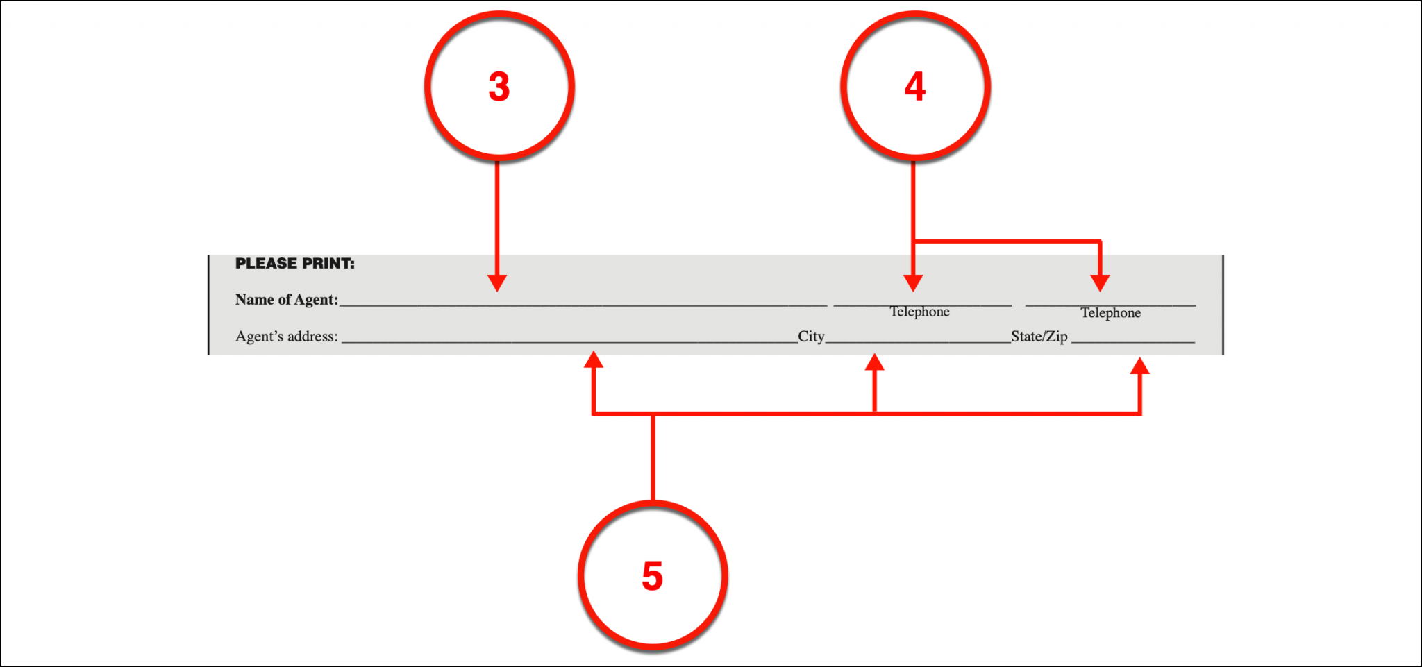 Free Kansas Advance Directive Form - PDF – eForms