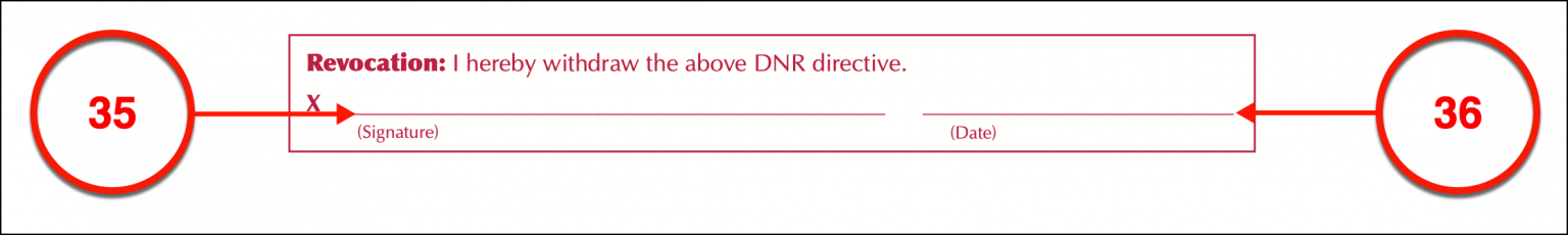 Free Kansas Advance Directive Form - PDF – eForms