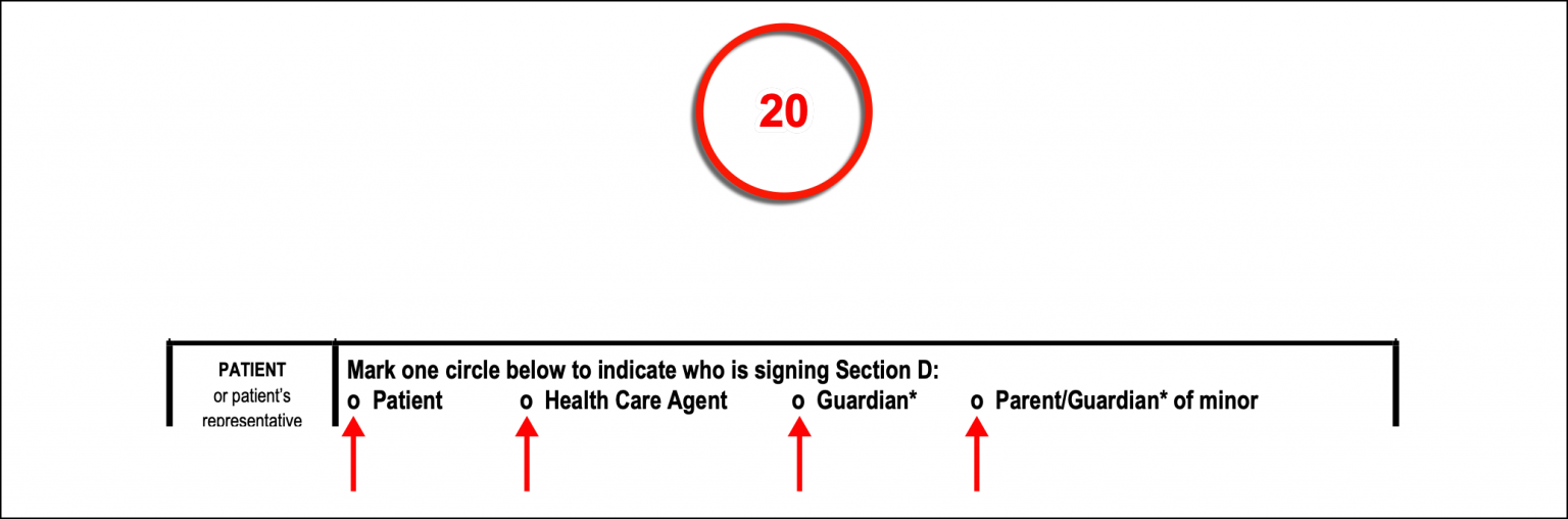 Free Massachusetts Advance Directive Form - PDF – eForms