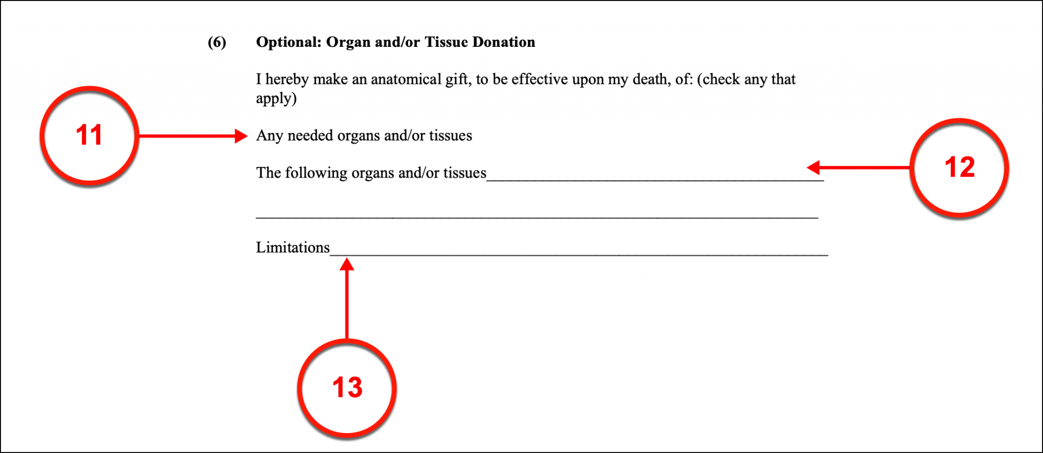 Free New York Advance Directive Form - PDF – eForms