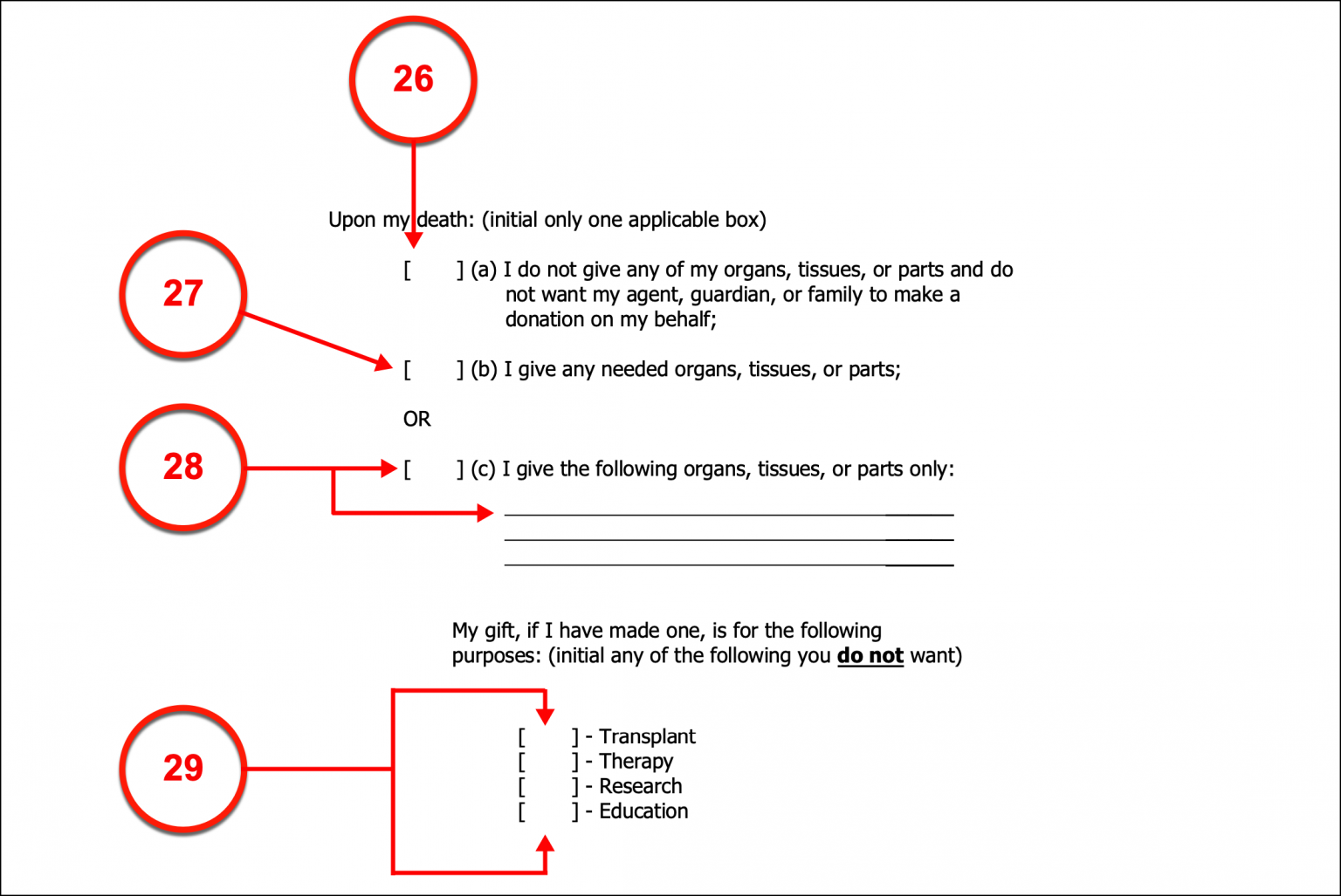 Free New York Advance Directive Form - PDF – eForms