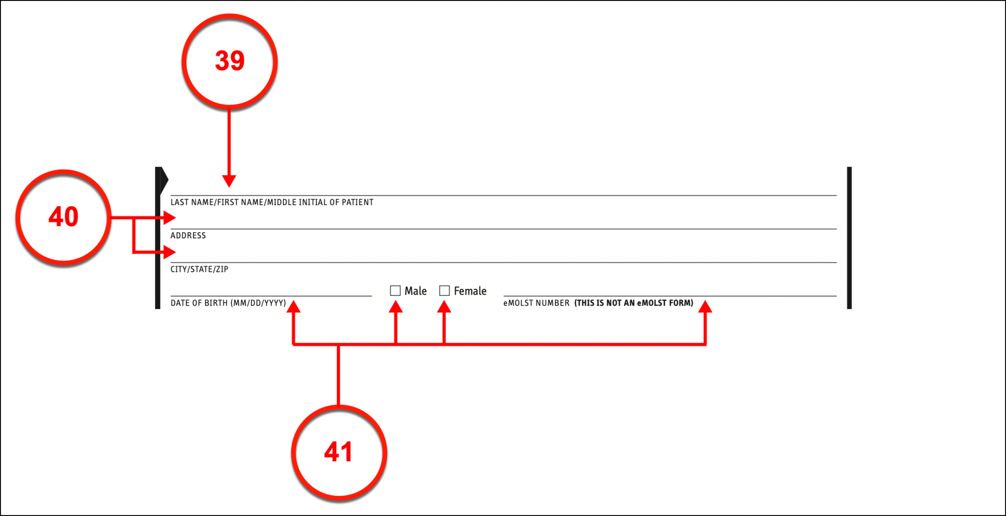 Free New York Advance Directive Form - PDF – eForms