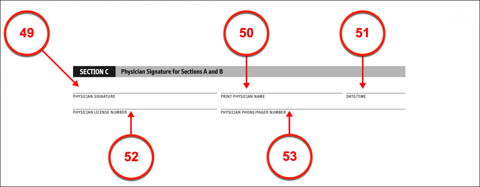 Free New York Advance Directive Form - PDF – eForms