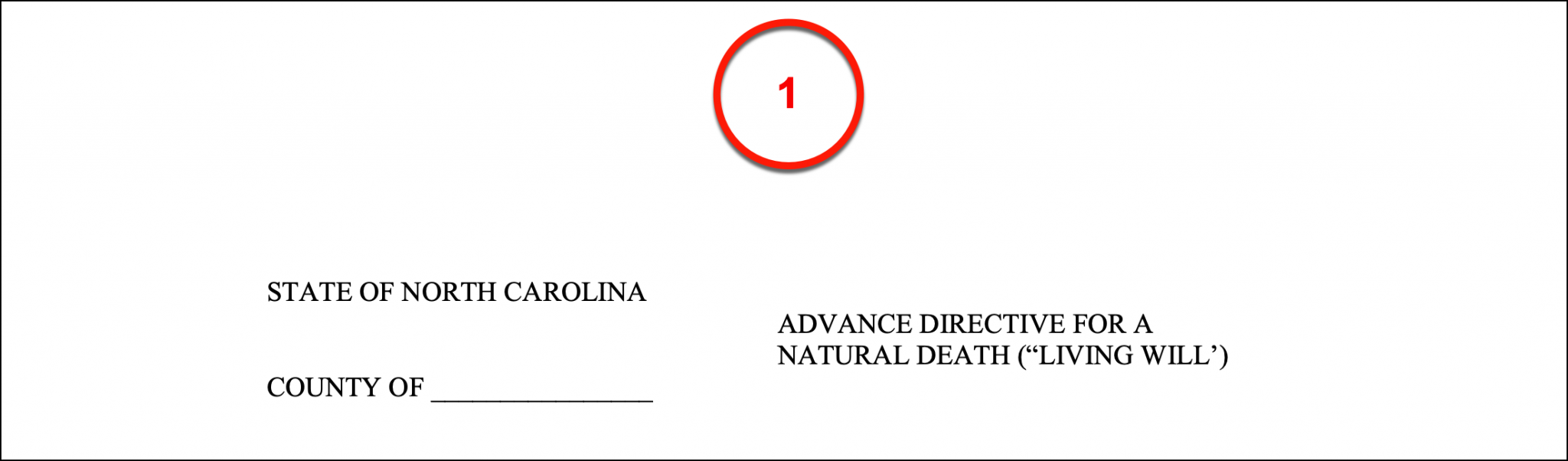 Free North Carolina Advance Directive Form - PDF – eForms