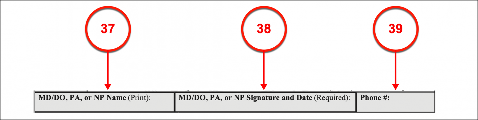 Free North Carolina Advance Directive Form - PDF – eForms