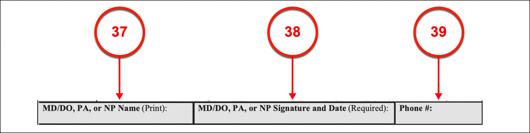 Free North Carolina Advance Directive Form - PDF – eForms