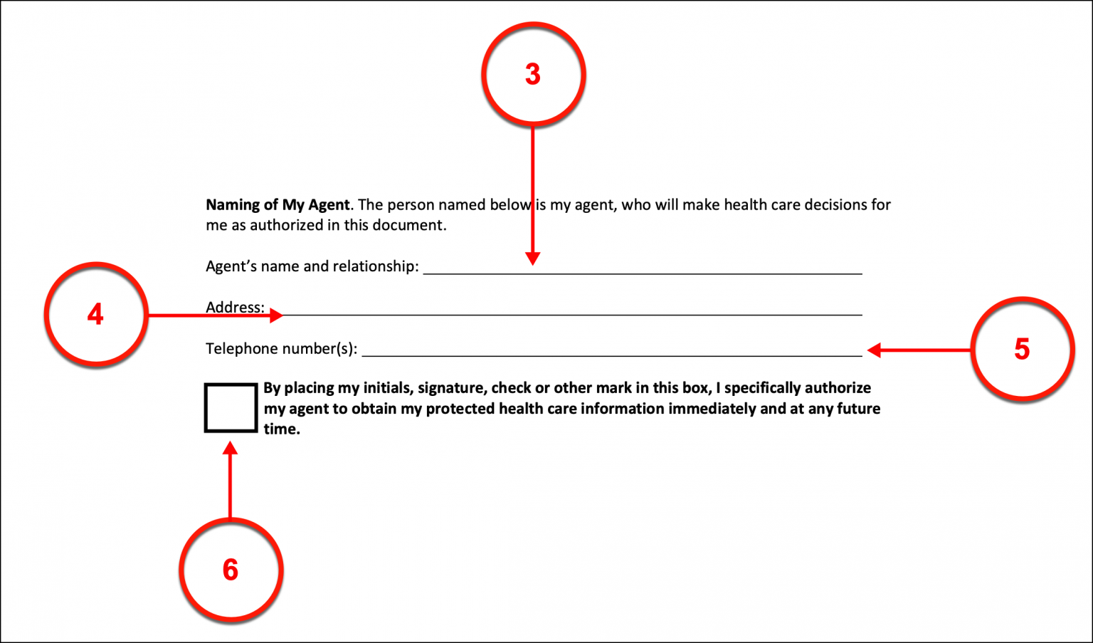 Free Ohio Advance Directive Form - PDF – eForms