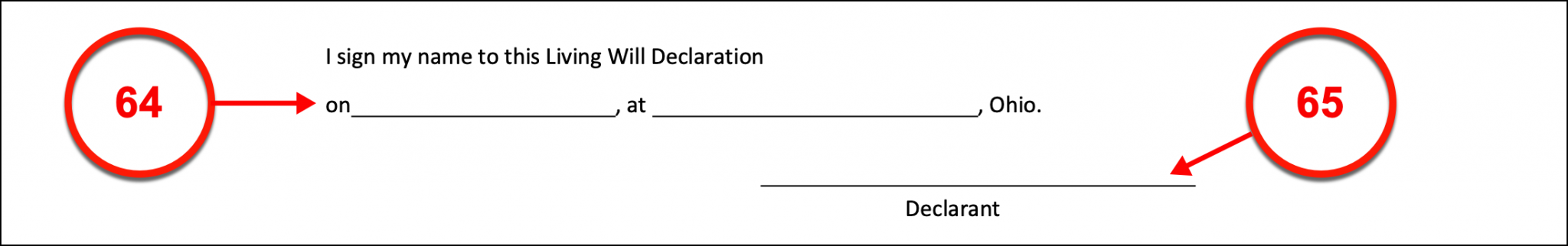 Free Ohio Advance Directive Form - PDF – eForms