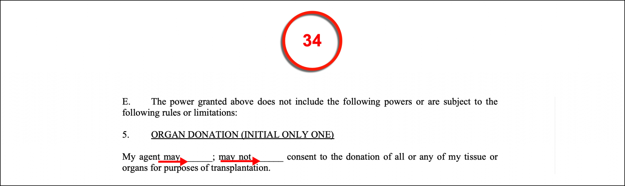 Free South Carolina Advance Directive Form - PDF – eForms