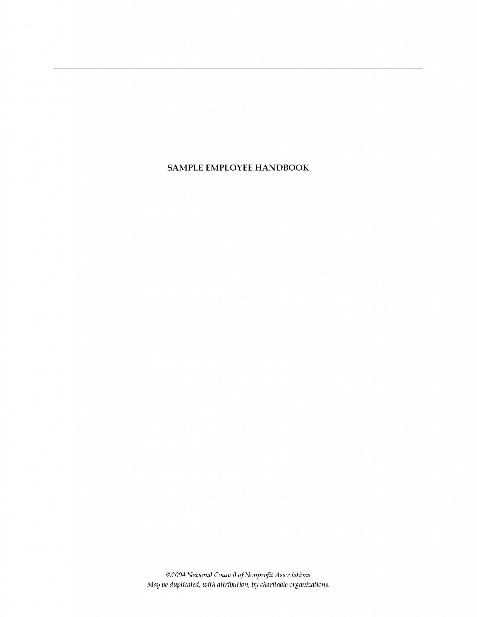 Free Non-Profit Organization Employee Handbook Template | Sample - PDF ...