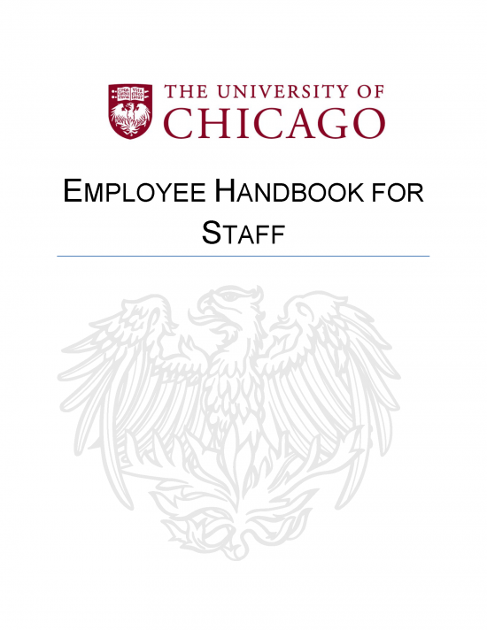 Free University Employee Handbook Template | Sample - PDF | Word – eForms