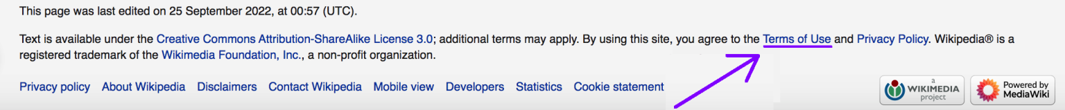 Free Website Terms and Conditions Template & Generator - PDF | Word – eForms