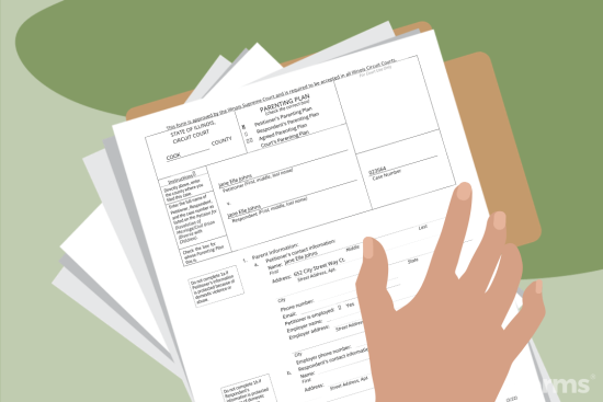 Free Illinois Custody (Parenting) Plan - PDF – eForms