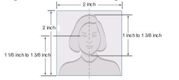 Free Passport Forms (3) - – eForms